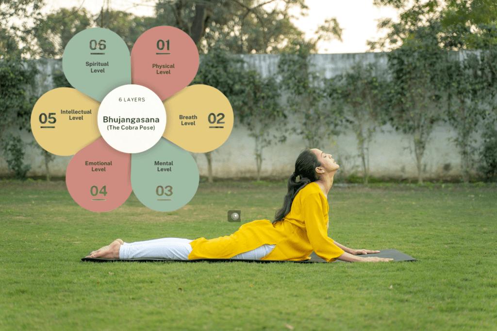 From the Physical to the Spiritual: The Power of Bhujangasana (The ...